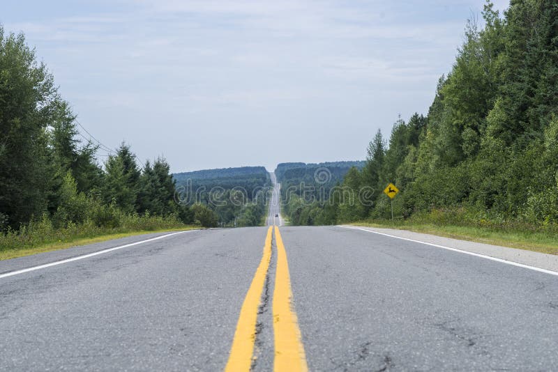 Infinite Road stock image. Image of forest, infrastructure - 187686051