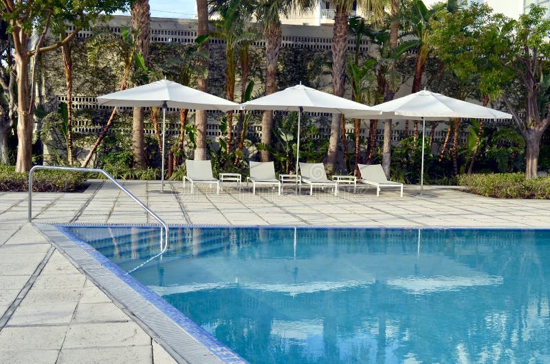 Miami Infinity Pool at Epic Hotel Stock Image - Image of paradise ...