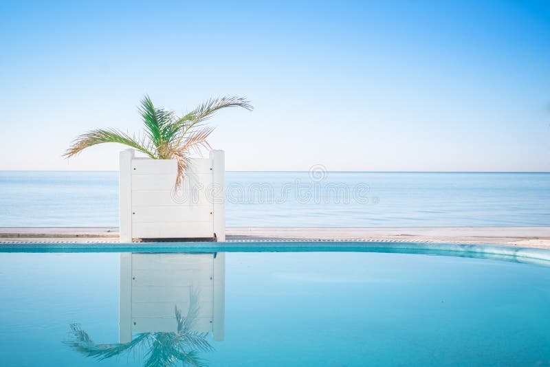 Infinity Luxury Swimming Pool on the Beach Stock Photo - Image of ...