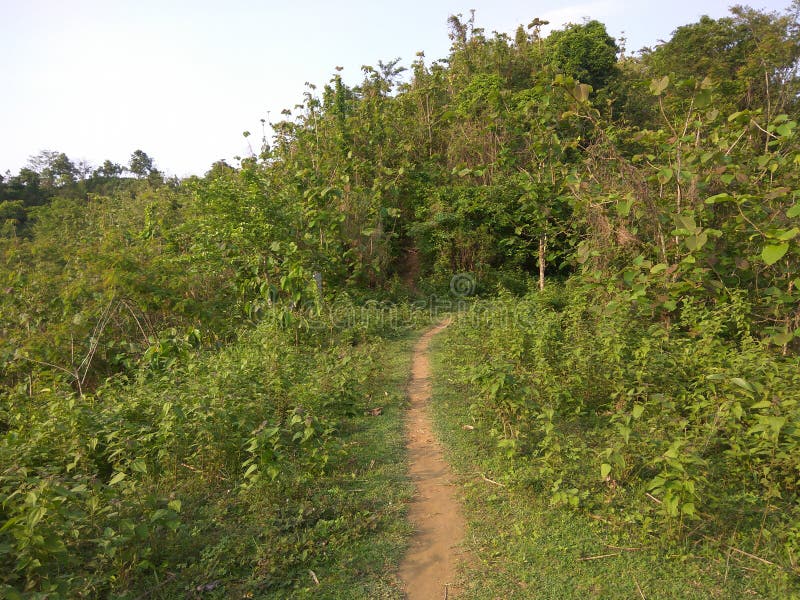 3,694 Infinity Path Stock Photos - Free & Royalty-Free Stock Photos ...