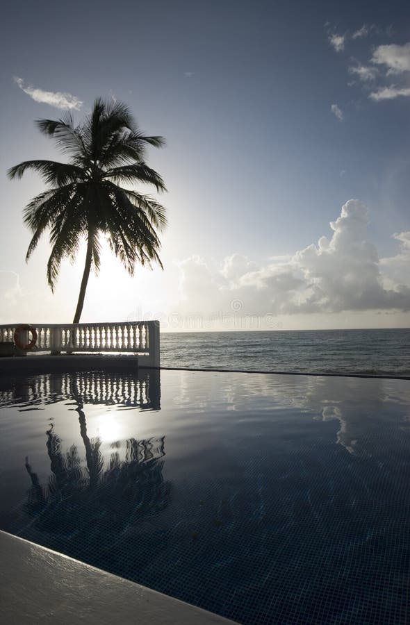 Infinity Pool with Float Caribbean Sea Stock Photo - Image of island ...