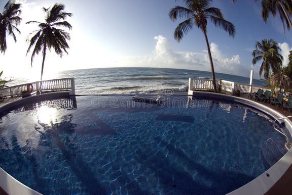 Infinity Pool with Float Caribbean Sea Stock Image - Image of corn ...