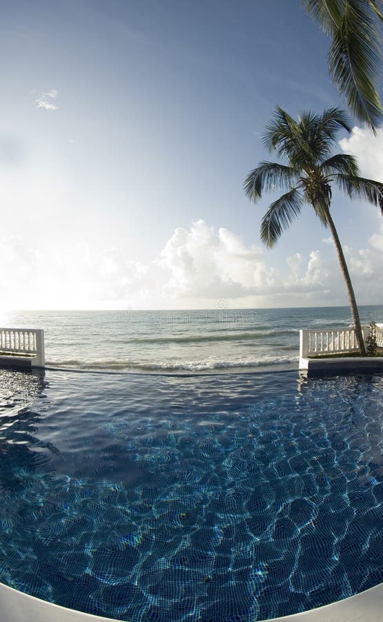 Infinity Pool with Float Caribbean Sea Stock Photo - Image of corn ...