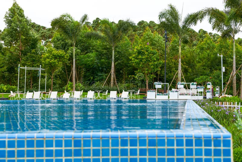 Infinity Pool and Lounge Chairs in a Luxury Hotel Stock Image - Image ...