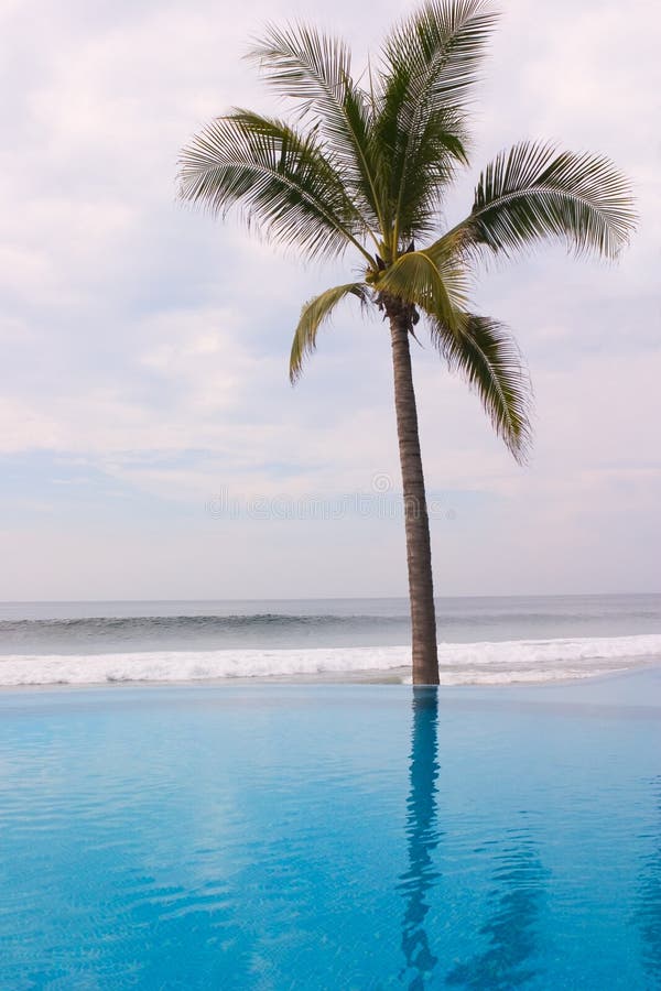 Infinity Pool - Mexico stock photo. Image of hotel, mexico - 3089596