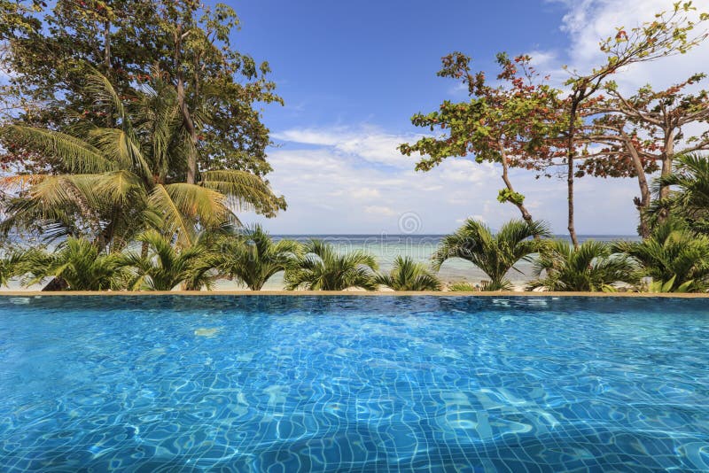 Infinity Pool Overlooking the Beach in Phi Phi Don Island in Krabi ...