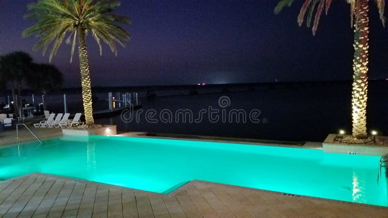 Infinity Pool and Palms at Night Stock Image - Image of infinity, blue ...
