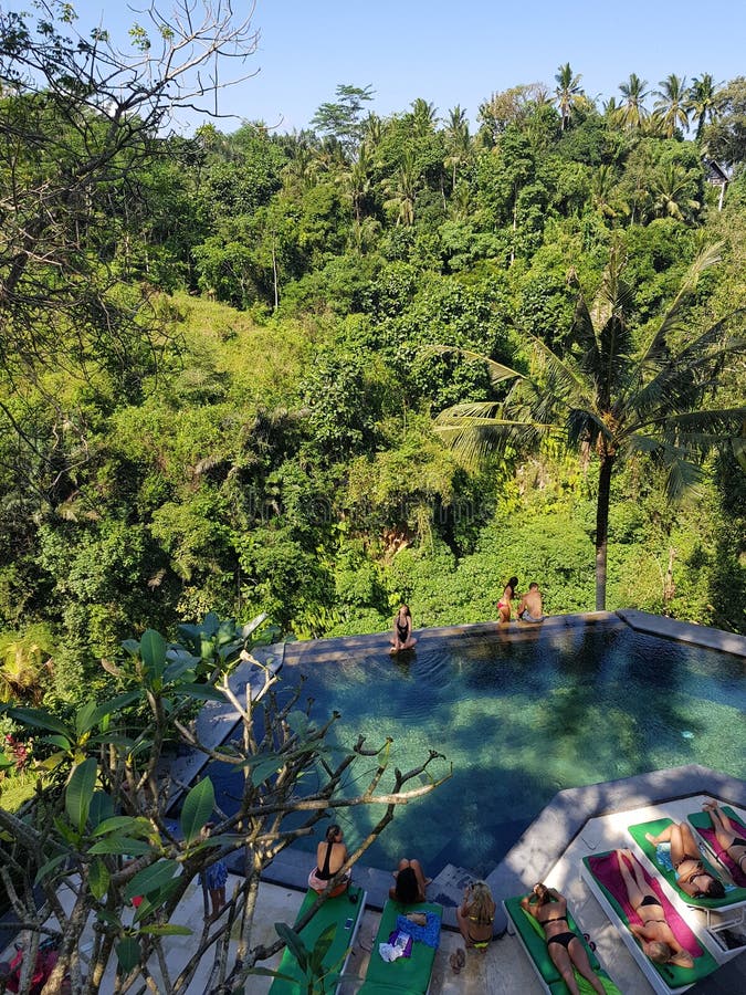 Infinity pool stock photo. Image of ubud, indonesia - 130353448