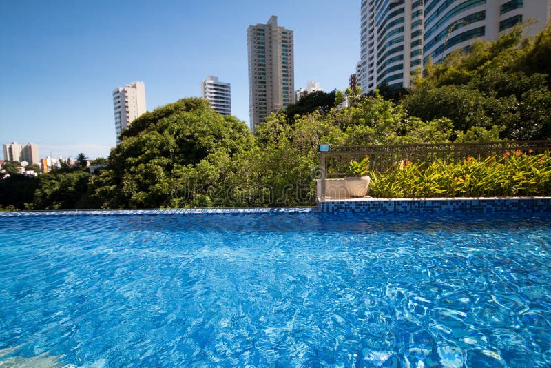 Infinity Pool with Trees and Buildings in the Background Editorial ...