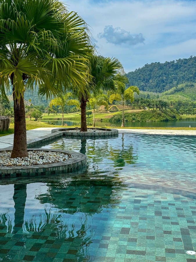 Infinity Pool with a View of a Tropical Landscape Stock Photo - Image ...
