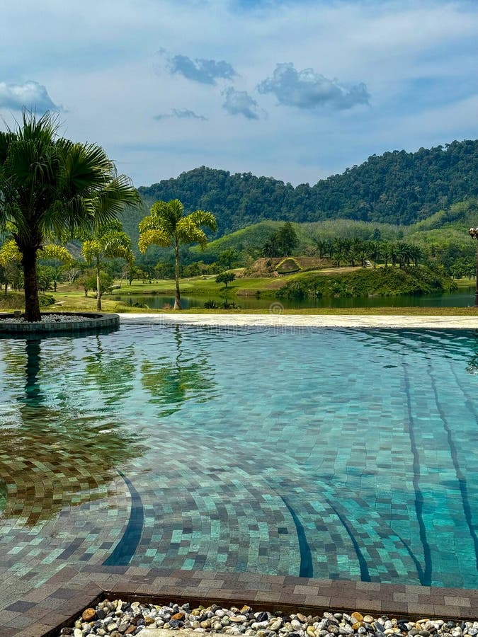 Infinity Pool with a View of a Tropical Landscape 3 Stock Image - Image ...