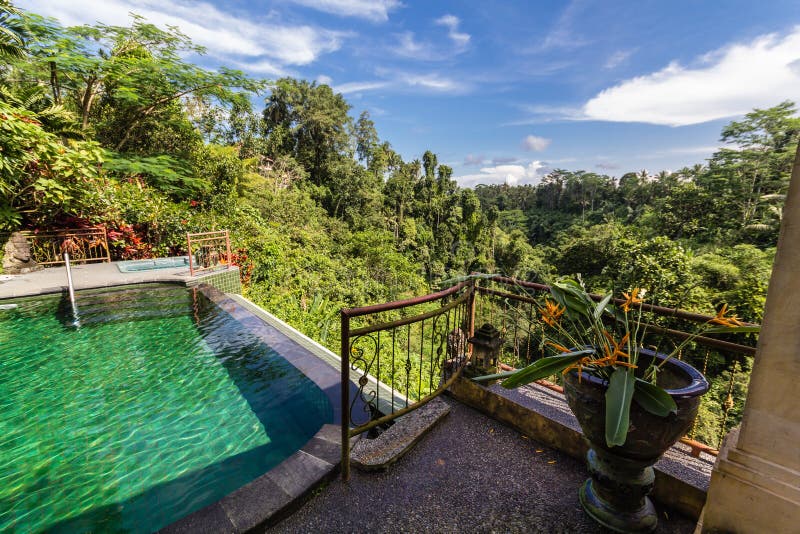 Infinity Swimming Pool Over Looking Peaceful Forest Stock Photo - Image ...