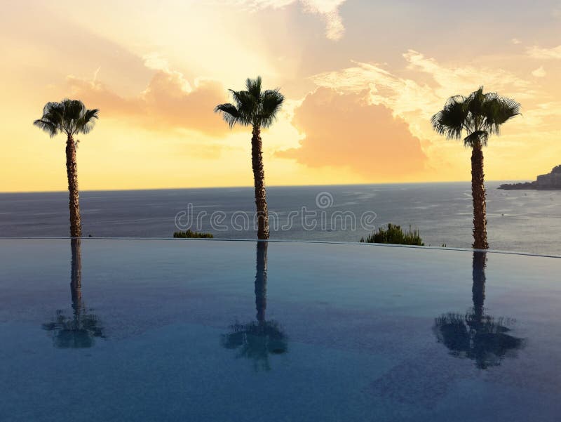 Infinity Swimming Pool by the Sea Stock Image - Image of holiday, palms ...