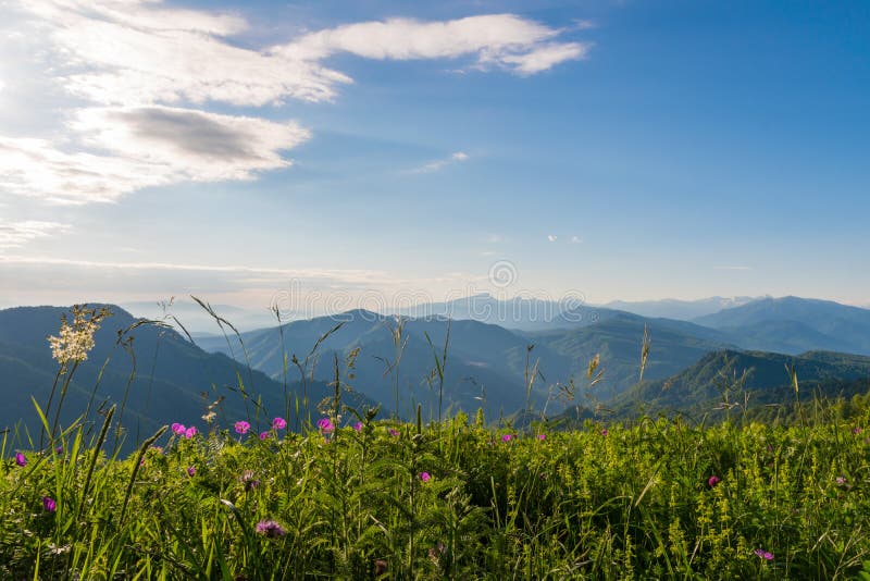 Infinity Views of the Peaks of the Mountains Stock Photo - Image of ...
