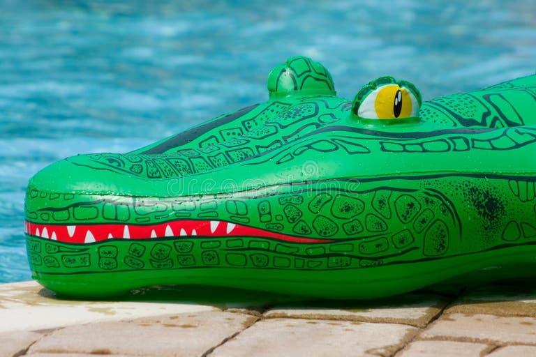 Inflatable alligator toy stock image. Image of pool, summer - 12775337