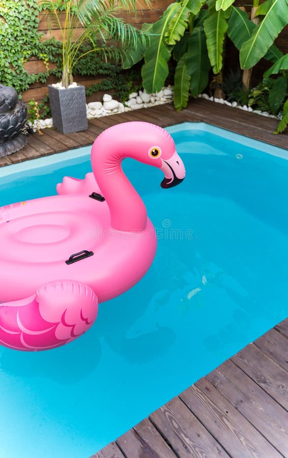 An Inflatable Float Flamingo Swims in the Pool. Luxury Vacation Stock ...