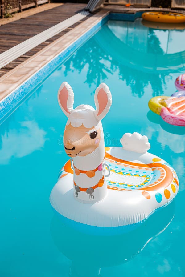 Inflatable Raft in the Form of a Llama Stock Image - Image of ...