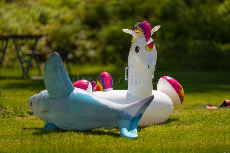 Inflatable Rafts Shaped As a Unicorn and a Shark on Grass.. Stock Image ...