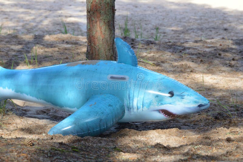 Inflatable Shark Lies on Sand Stock Photo - Image of rubber, nature ...