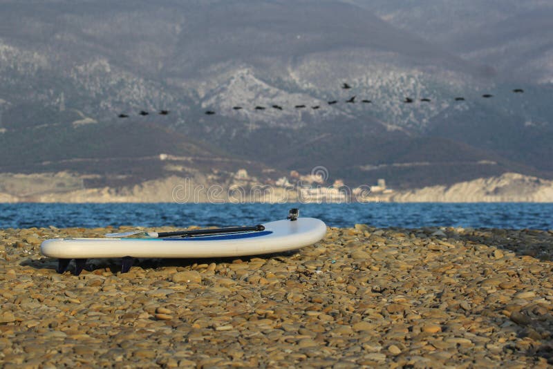 529 Puddle Board Stock Photos - Free & Royalty-Free Stock Photos from ...