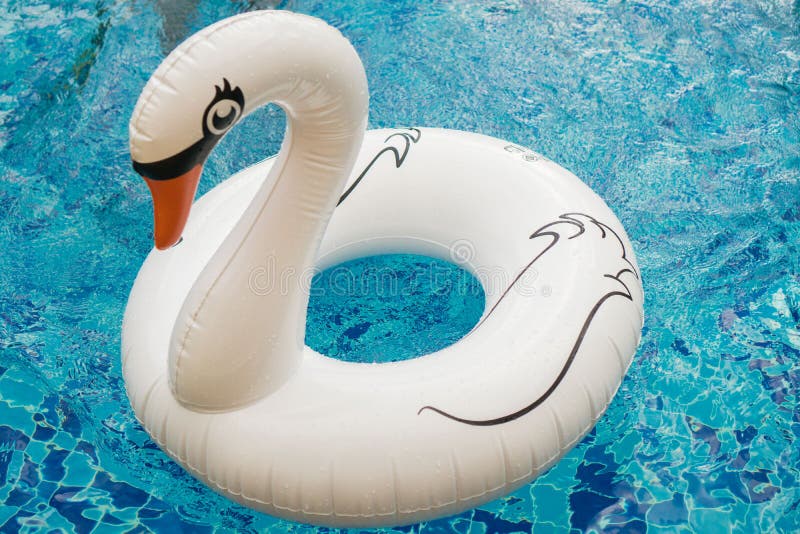 Inflatable White Swan in the Pool Stock Image - Image of float, family ...