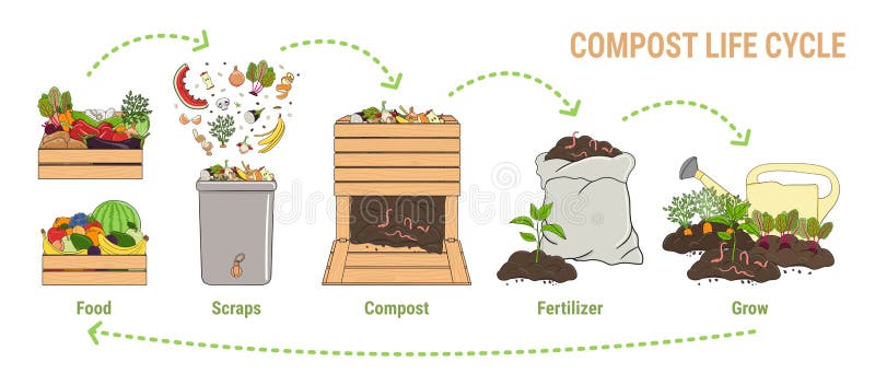 Infografía Del Círculo De Vida De Compost. Proceso De Compostaje ... Infografía Del Círculo De Vida De Compost. Proceso De Compostaje ...