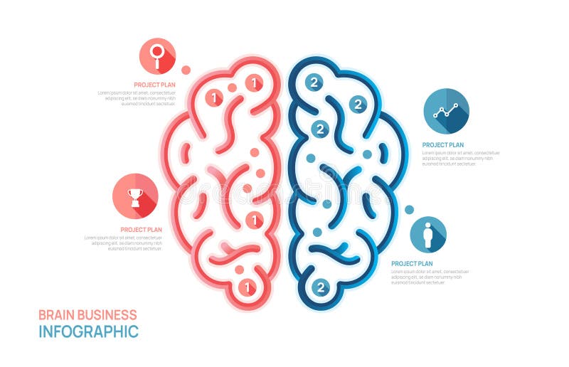 Infographic Brain Business Growth Design Template. Stock Illustration ...