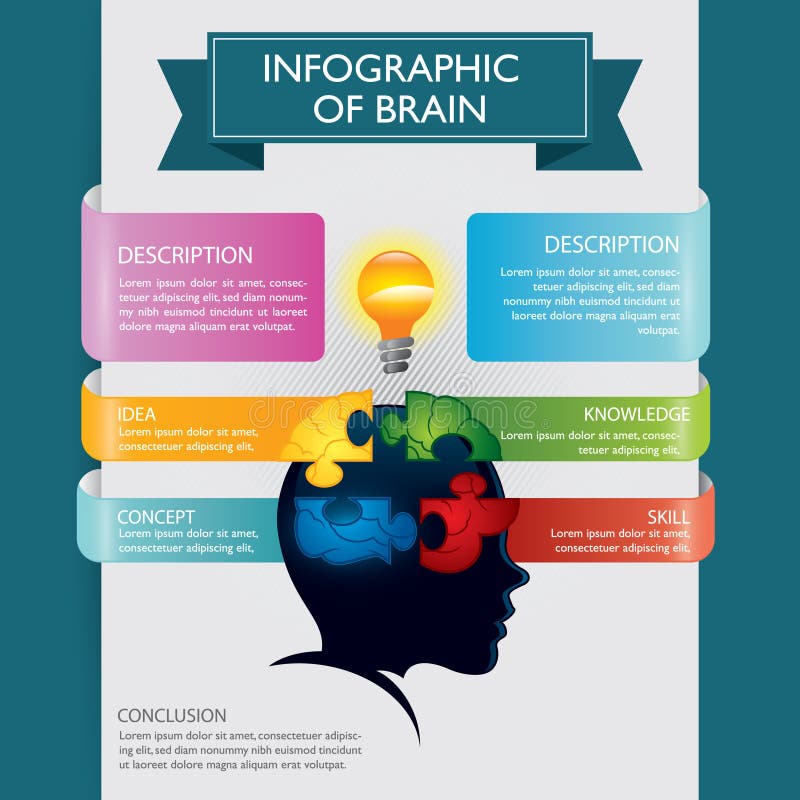 Brain Infographic. Vector Illustration Decorative Background Design ...