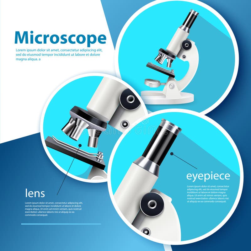 Infographic Colored Microscope Stock Vector - Illustration of lens ...