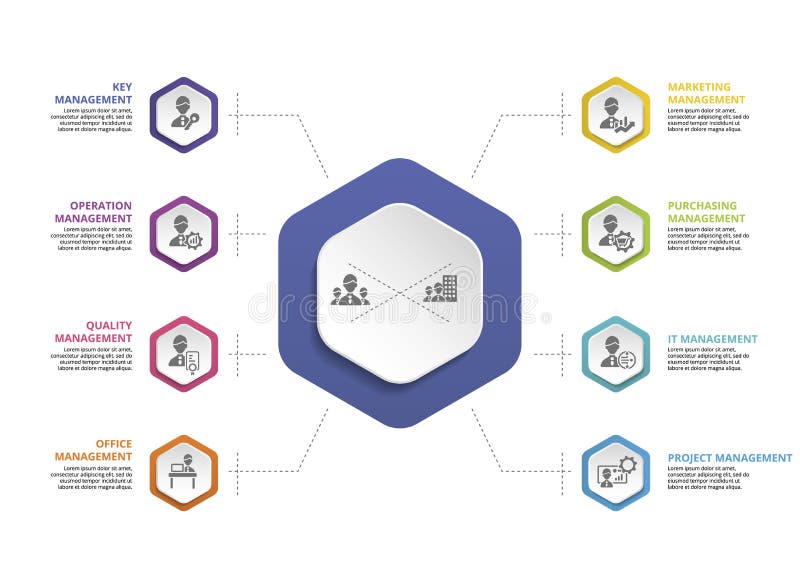 Infographic Company Management Icons Vector Illustration. 8 Colored ...