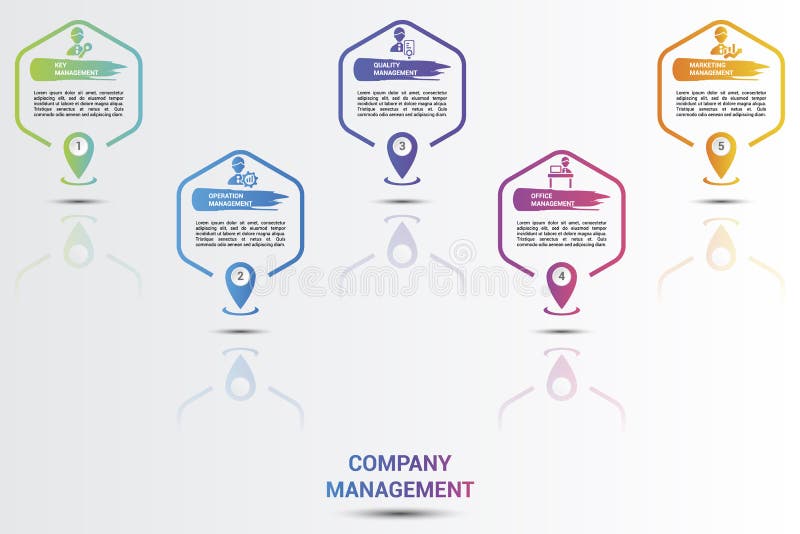 Infographic Company Management Icons Vector Illustration. 5 Colored ...
