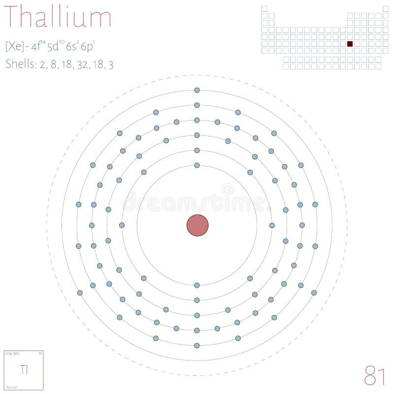 Infographic Del Elemento Del Talio Ilustración del Vector - Ilustración ...