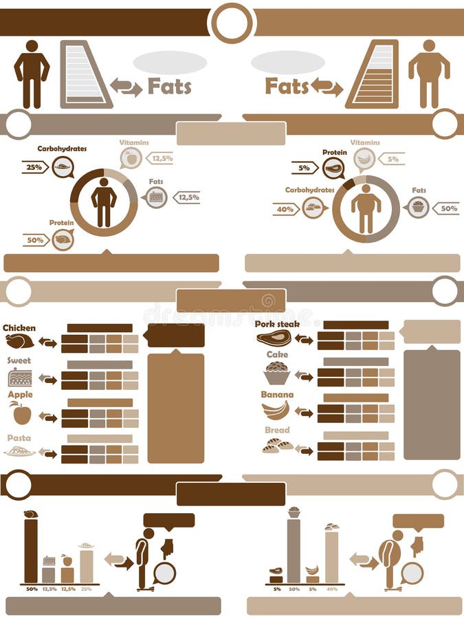 Infographic Demographic Elements Chart and Graphic Stock Vector ...