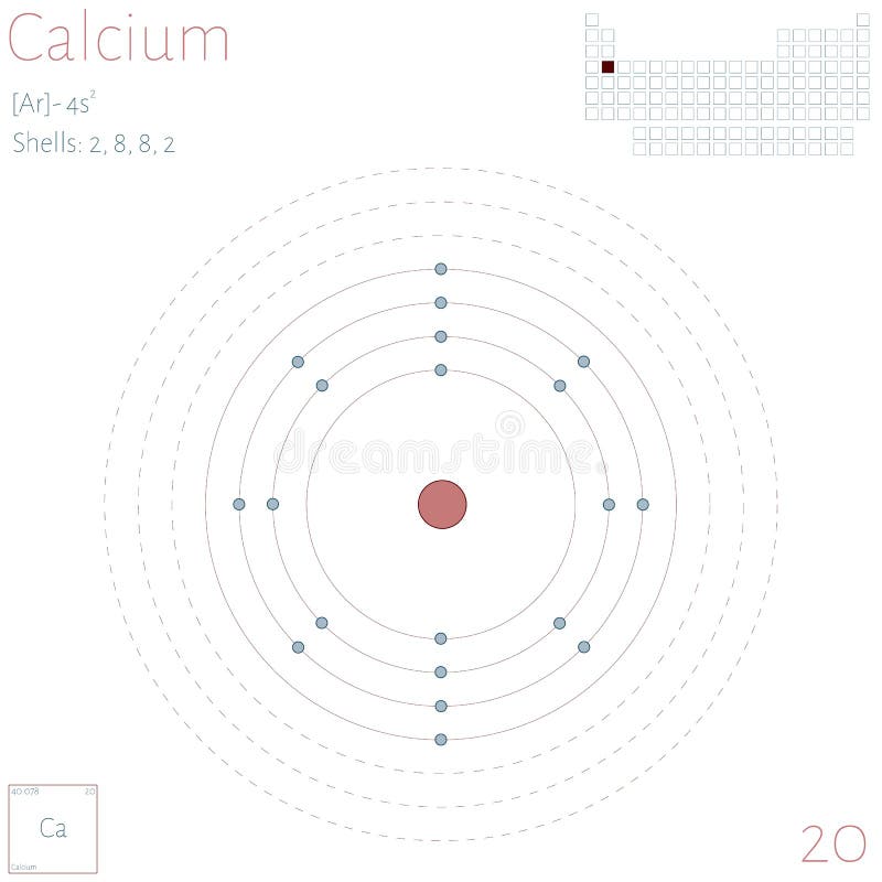 Infographic of the Element of Calcium Stock Vector - Illustration of ...