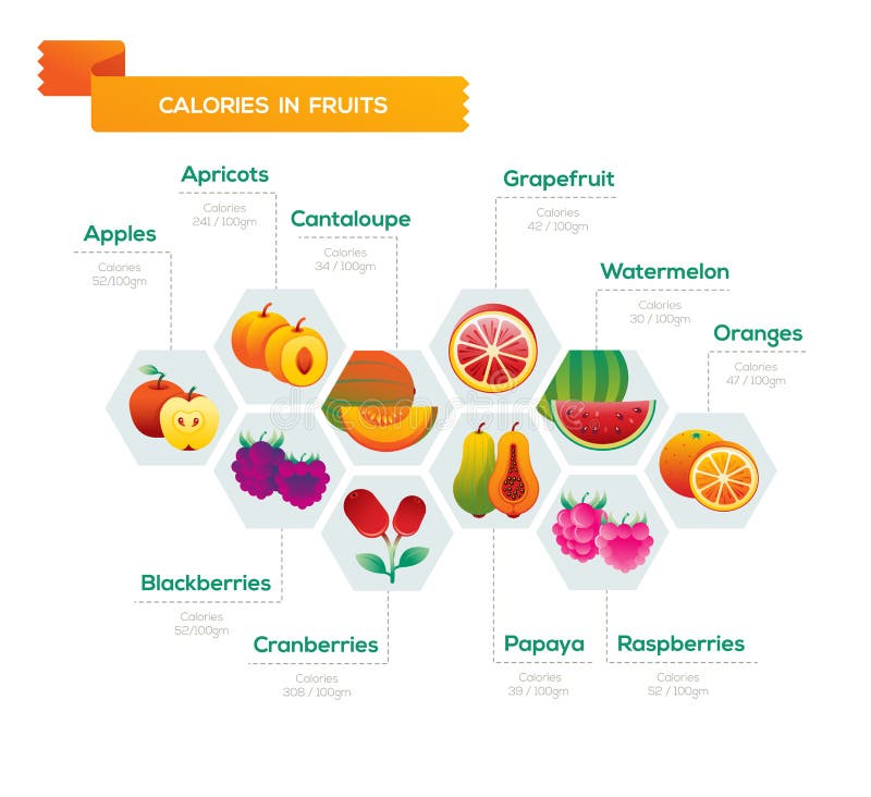 Fruktinfografik vektor illustrationer. Illustration av nytt - 58607170