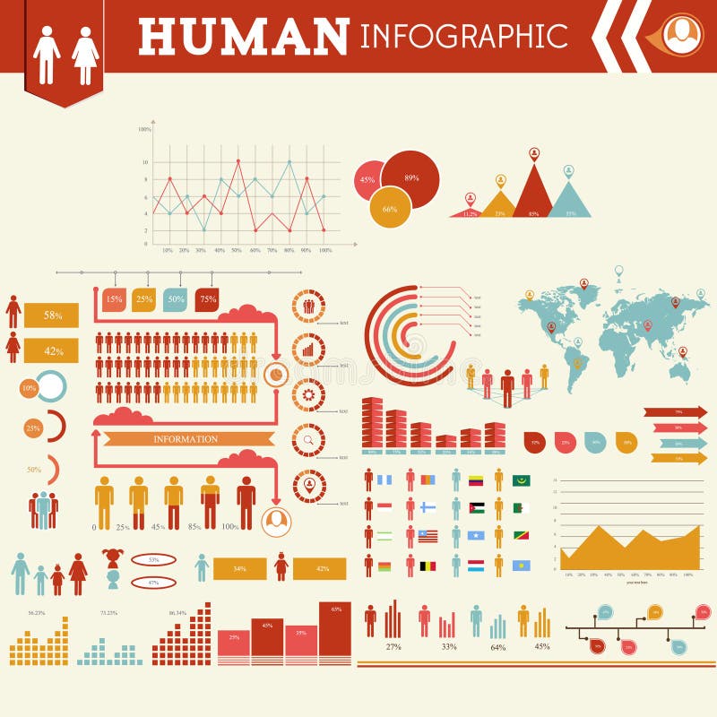 Infographic human stock vector. Illustration of presentation - 104072968