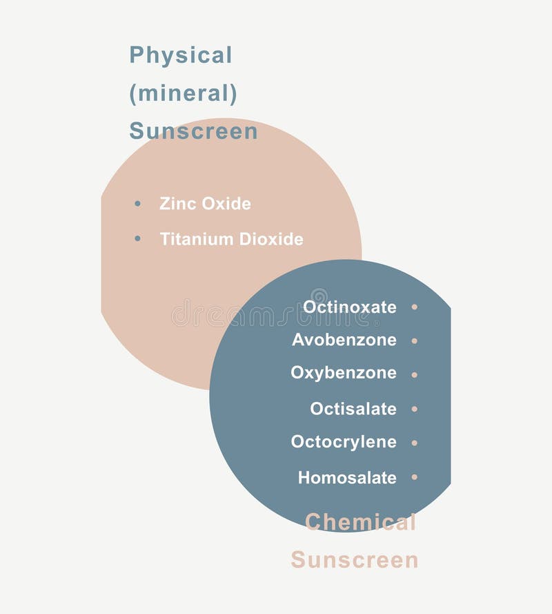 Infographic of Ingredients in Sunscreen. Stock Vector - Illustration of ...