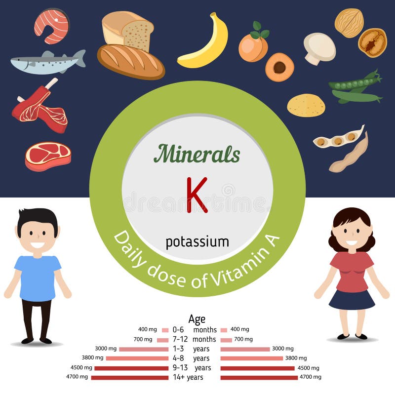 Infographic Mineralen K vector illustratie. Illustration of eten - 72102704