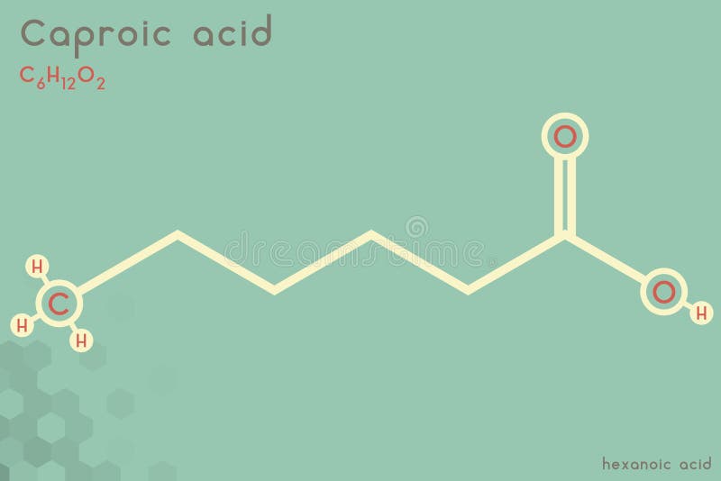 Infographic of the Molecule of Caproic Acid Stock Vector - Illustration ...