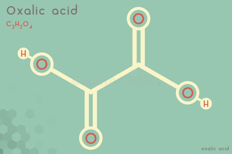 Infographic of the Molecule of Oxalic Acid Stock Vector - Illustration ...