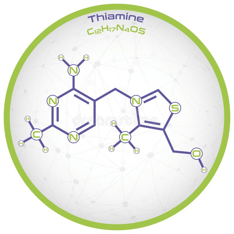 Infographic of the Molecule of Thiamine Stock Vector - Illustration of ...
