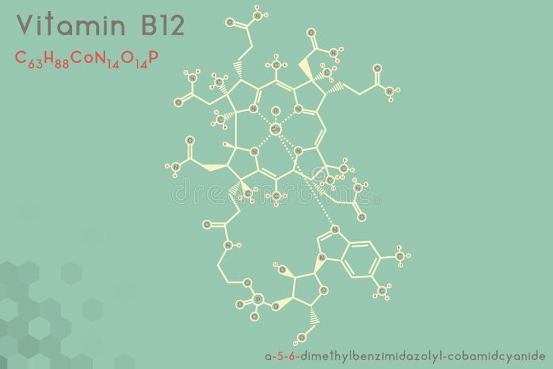 Infographic of the Molecule of Vitamin B12 Stock Vector - Illustration ...