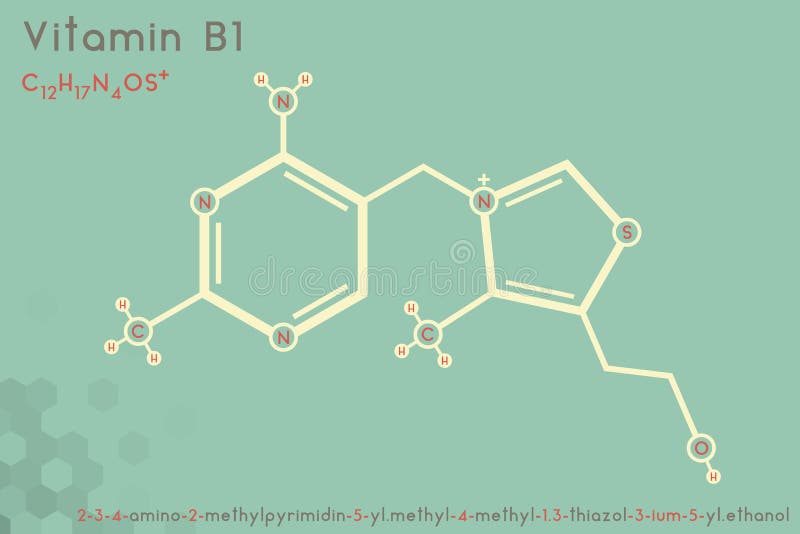 Infographic of the Molecule of Vitamin B1 Stock Vector - Illustration ...
