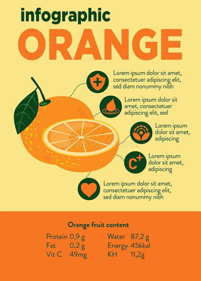 Orange Fruit Info Graphic Template Concept with Four Points List and ...