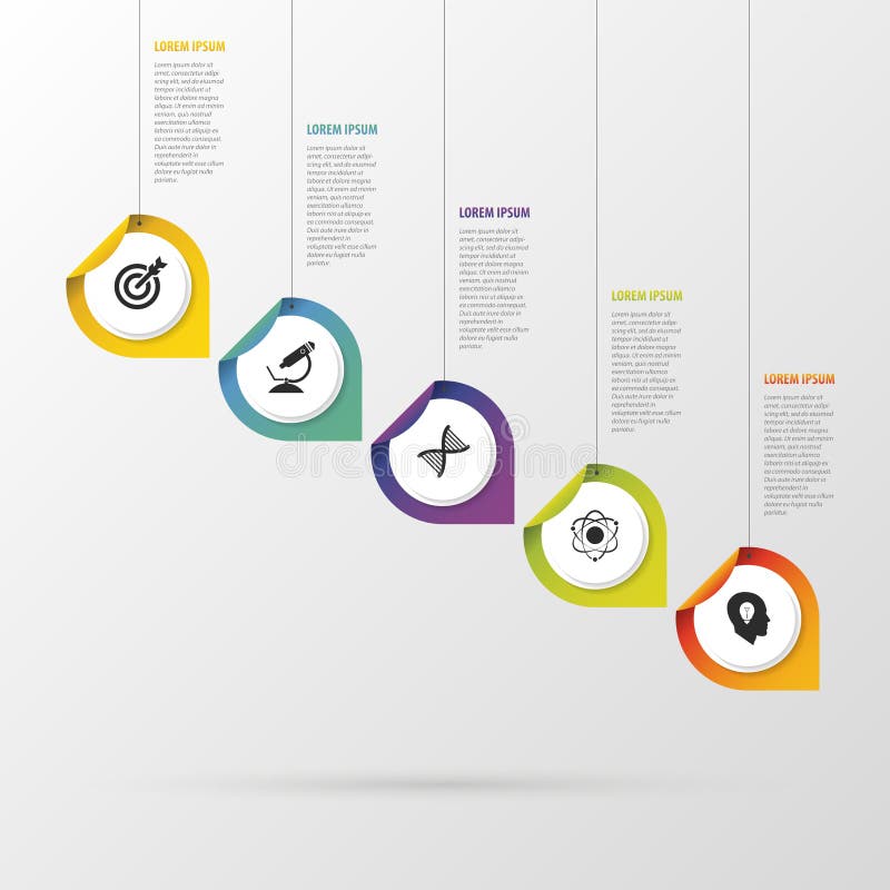 Infographic Business Vector Concept in Flat Design Style - Vertical ...