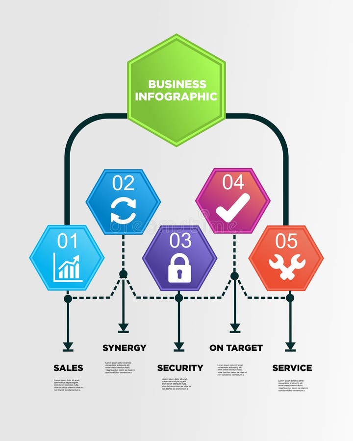 Infographic Simple and Clean.template Infographic - Vector Stock Vector ...