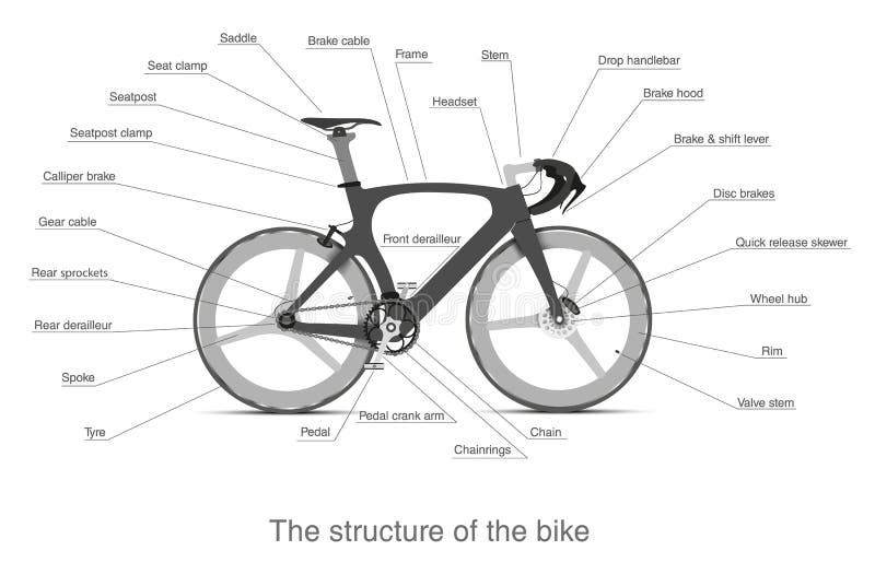 Infographic of the Structure of Bike Stock Vector - Illustration of ...