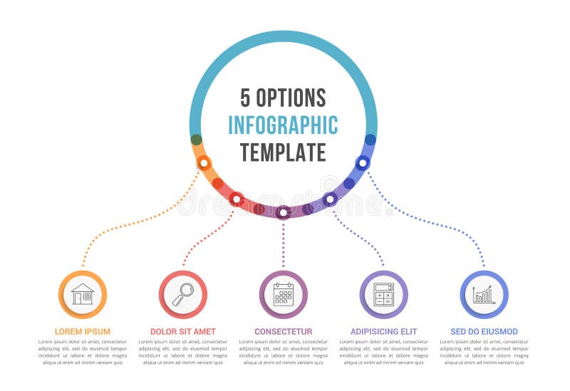 Five Options Infographic Template Stock Vector - Illustration of number ...