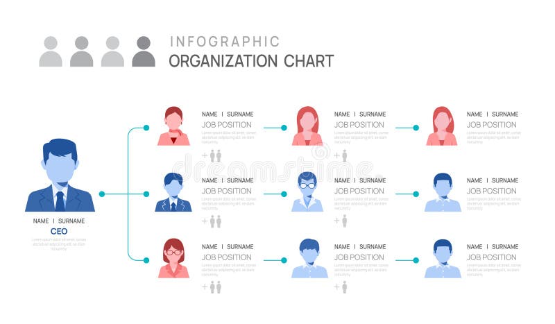 Infographic Template for Organization Chart with Business Avatar Icons ...