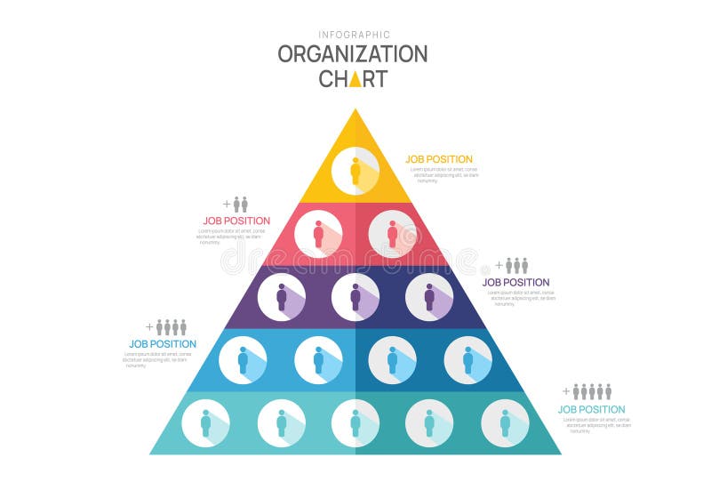 Infographic Template for Organization Chart Pyramid with Team Leader ...